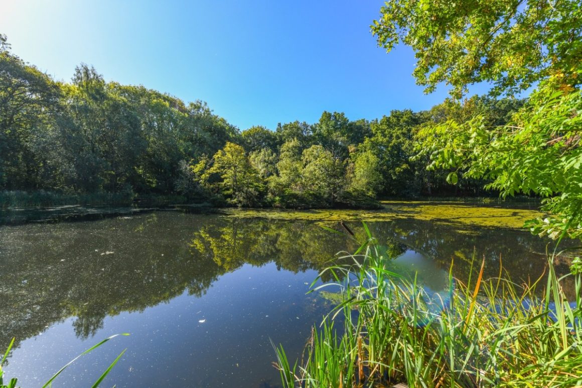 Coppice Lake, Shipley Park - FHP | Derbyshire | For sale | FHP